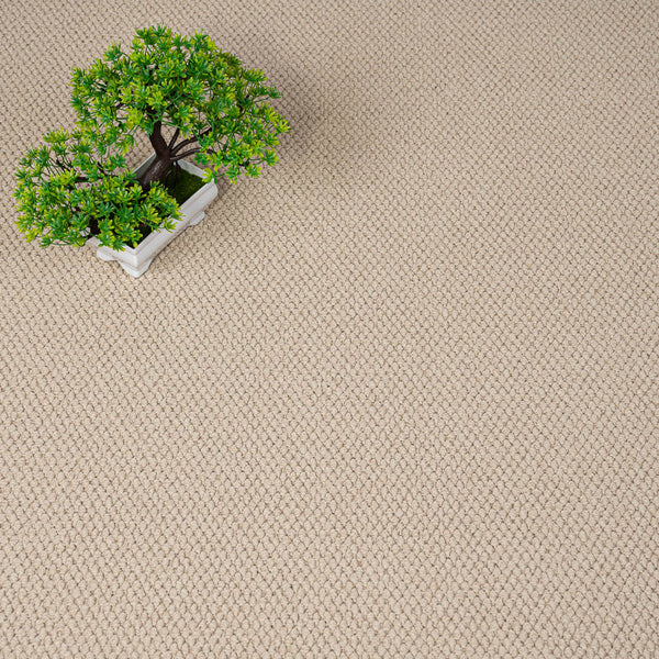 Pale Linen Primo Textures Carpet | Cormar Carpet | Online Carpets