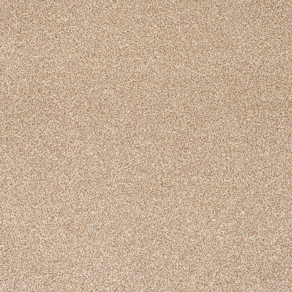 Palm Sugar Trinity Carpet | Cormar Carpet | Online Carpets
