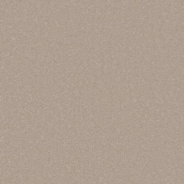 Primo Plus Carpet | Cormar Primo Plus Carpet Online | Online Carpets