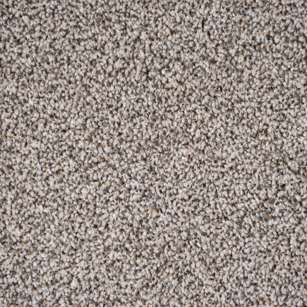 Pebble Greige Pisa Saxony Carpet | Luxury Carpets | Online Carpets
