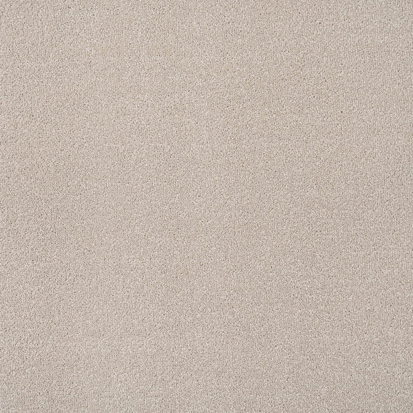 Apollo Plus Carpet | Buy Apollo Plus Carpets Online | Online Carpets