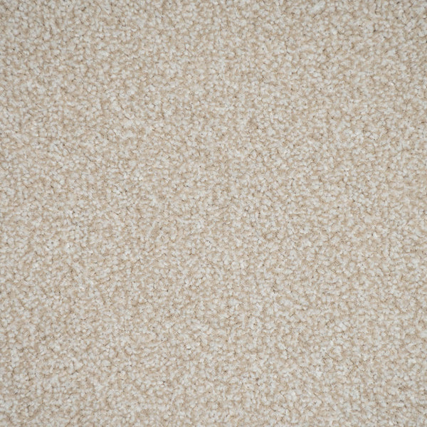Powder Stainfree Ultra Carpet | Abingdon Carpets | Online Carpets