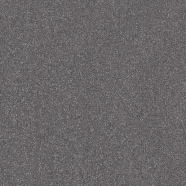 Pumice Primo Plus Carpet | Luxury Cormar Carpet | Online Carpets