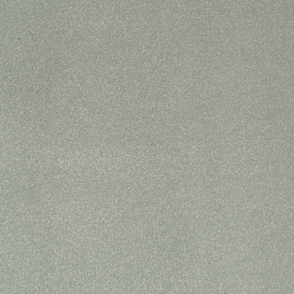 Pure Elegance Carpet | Abingdon Carpets | Online Carpets