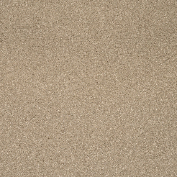 Putty Primo Plus Carpet | Luxury Cormar Carpet | Online Carpets