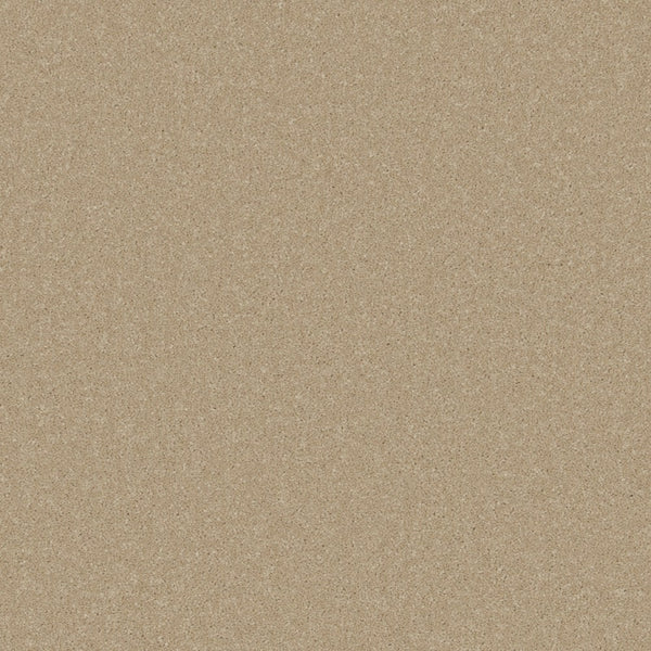 Putty Primo Plus Carpet | Luxury Cormar Carpet | Online Carpets