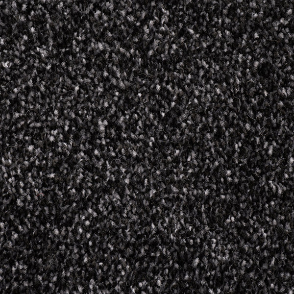 Raven 78 Alps Twist Carpet | Quality Twist Carpet | Online Carpets
