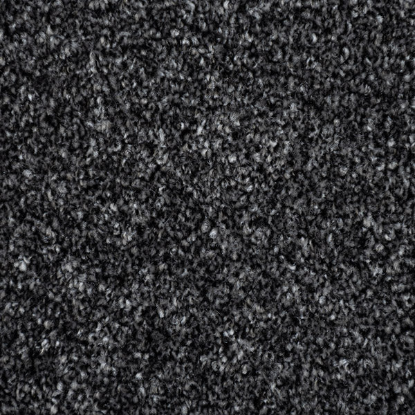 Raven Grey Versailles Twist Carpet | Twist Carpets | Online Carpets