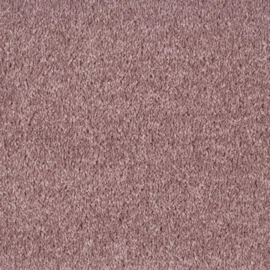 Dublin Twist Actionback Carpet | Stain Resistant Carpets | Online Carpets