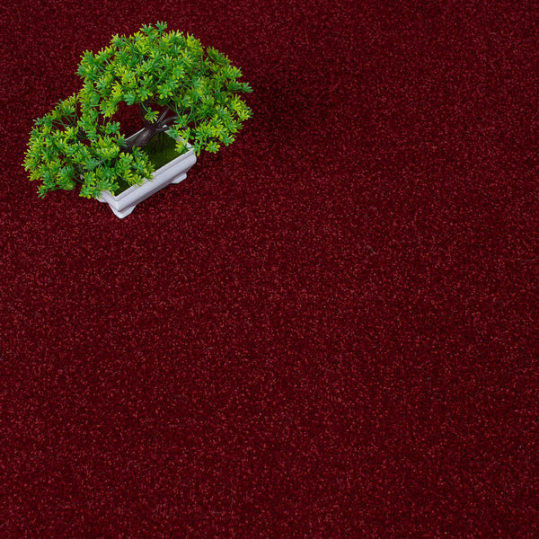 Ruby Stainfree Ultra Carpet | Abingdon Carpets | Online Carpets