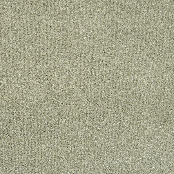 Alps Twist Carpet | Quality Twist Carpet Online | Online Carpets