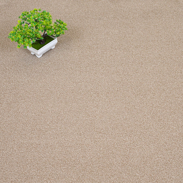 Sandstone 72 Birma Saxony Carpet | Luxury Carpets | Online Carpets