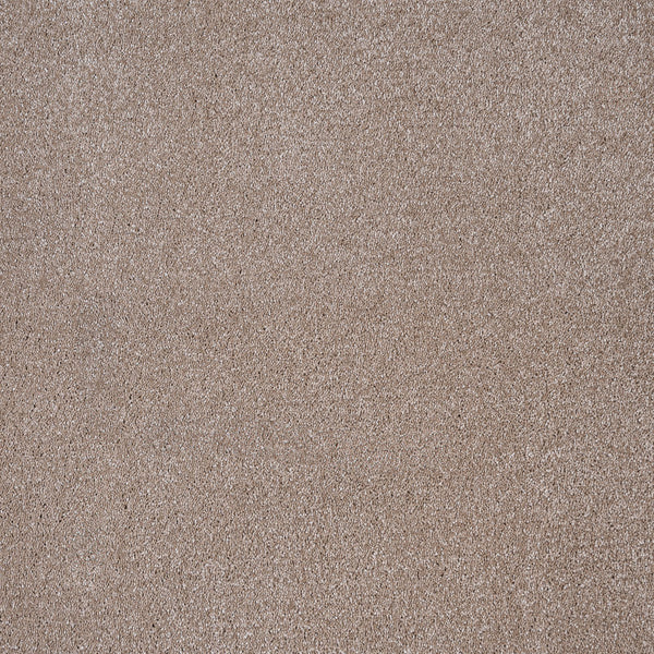 Sirius 70oz Invictus Carpet | Buy Invictus Carpets Online ...