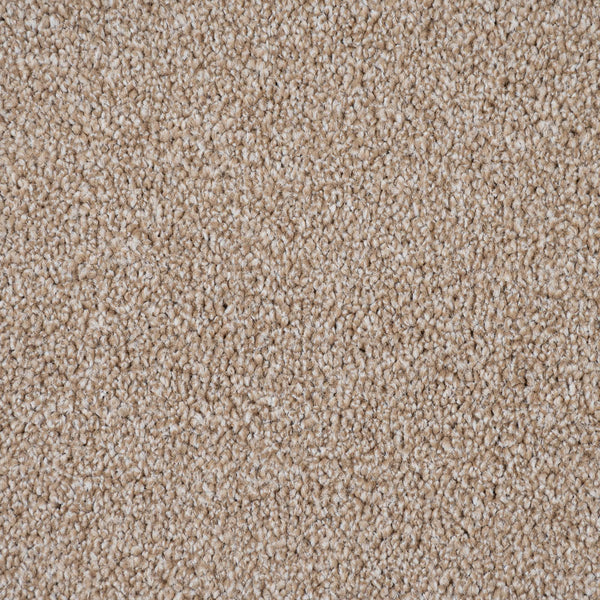 Sandy Beige Aspire Twist Carpet | Buy Aspire Twist Carpets Online ...