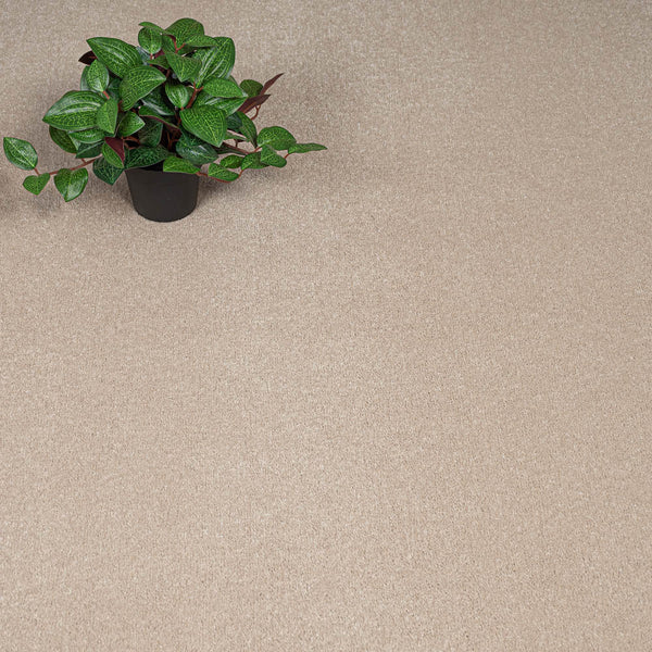 Sandy Beige Hartwell Saxony Carpet | Luxury Carpets | Online Carpets