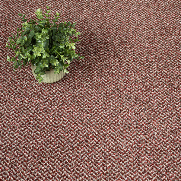 Scarlet 19 Stainaway Tweed Carpet | AW Carpets | Online Carpets