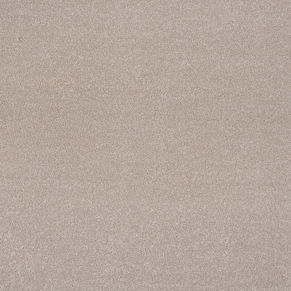 Apollo Plus Carpet | Buy Apollo Plus Carpets Online | Online Carpets