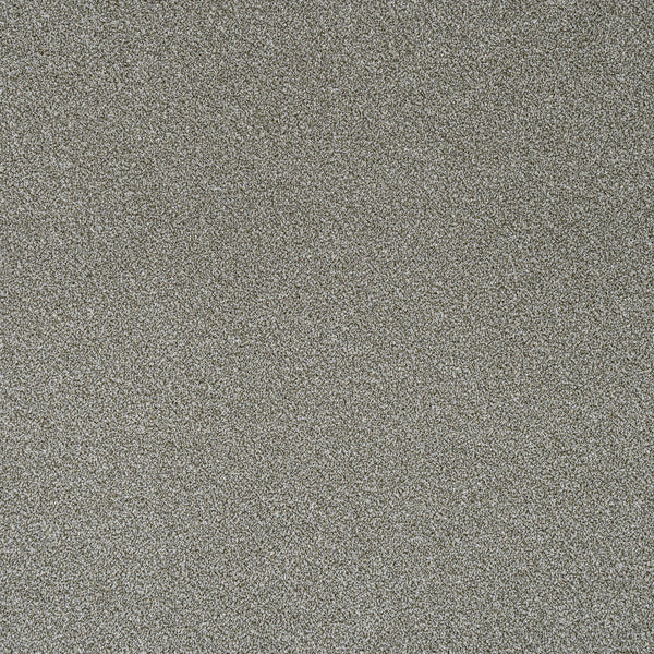 Sedge Stainfree Rustique Ultra Carpet | Abingdon | Online Carpets