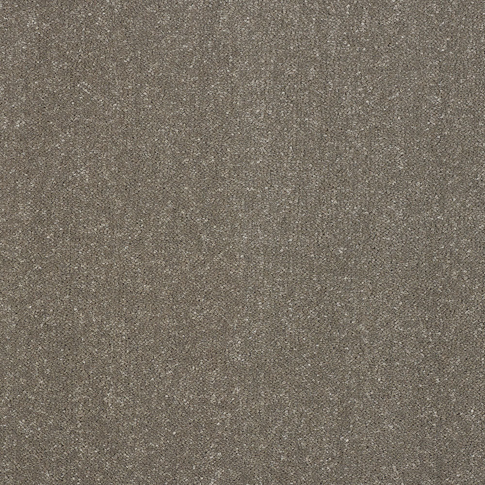 Pure Elegance Carpet | Abingdon Carpets | Online Carpets