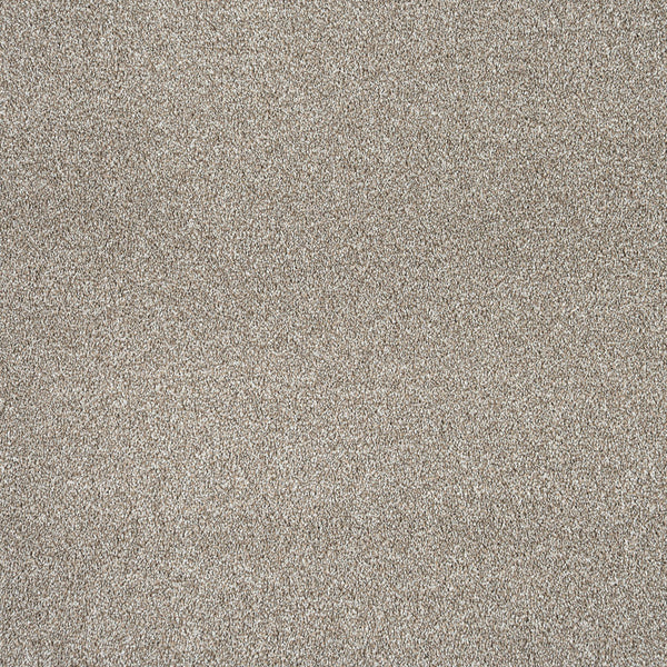 Shell Harewood Saxony Carpet | Polyester Carpet | Online Carpets