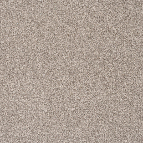 Apollo Plus Carpet | Buy Apollo Plus Carpets Online | Online Carpets