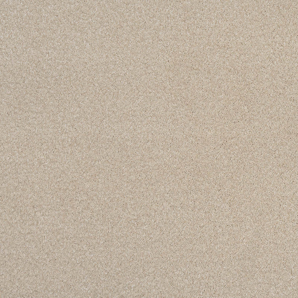 Magnificus Invictus Supreme Carpet by Associated Weavers ...