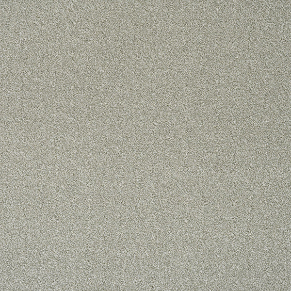 Spring Bud Stainfree Rustique Ultra Carpet | Abingdon | Online Carpets
