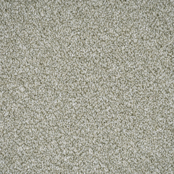 Spring Bud Stainfree Rustique Ultra Carpet | Abingdon | Online Carpets