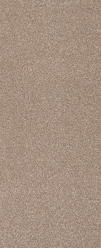 Stepping Stone Apollo Plus Carpet | Buy Apollo Plus Carpets Online ...
