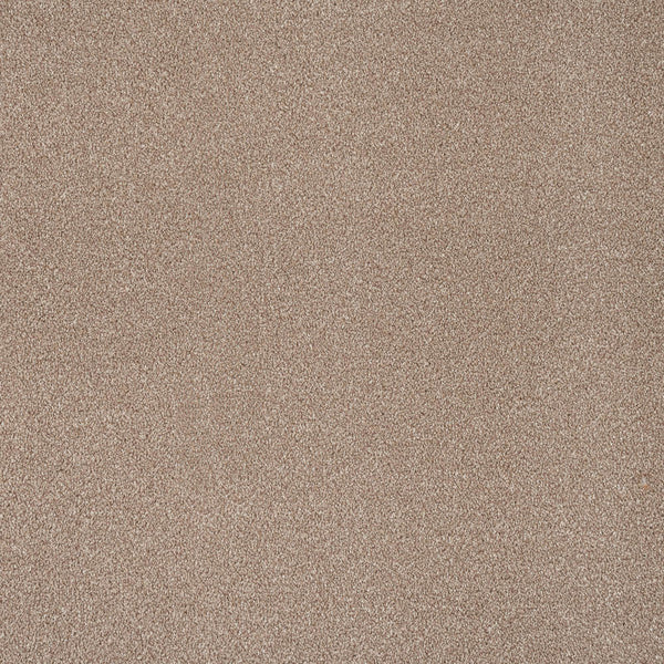 Apollo Plus Carpet | Buy Apollo Plus Carpets Online | Online Carpets