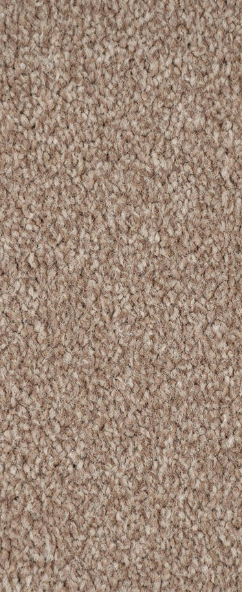 Stepping Stone Apollo Plus Carpet | Buy Apollo Plus Carpets Online ...