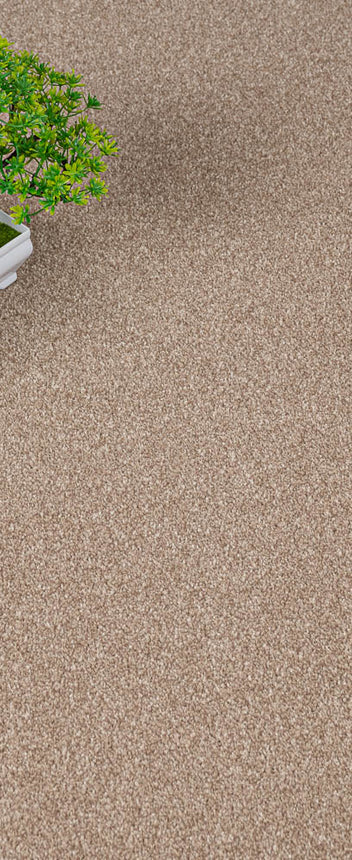 Stepping Stone Apollo Plus Carpet | Buy Apollo Plus Carpets Online ...