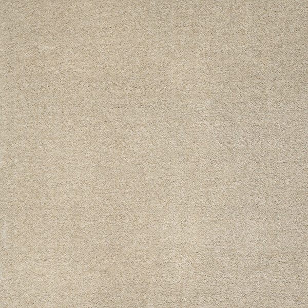 Suede 34 iSense Obsession Carpet | Buy Associated Weavers Carpets ...