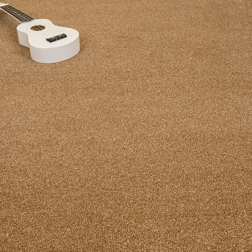 Brown Carpet | Light, Dark & Chocolate Brown Carpets | Online Carpets