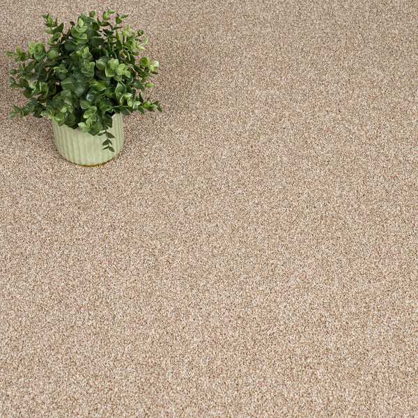 Thatched Roof 05 Stainfree Rustique Saxony Carpet | Online Carpets