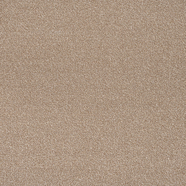 Thatched Roof Stainfree Rustique Ultra Carpet | Online Carpets