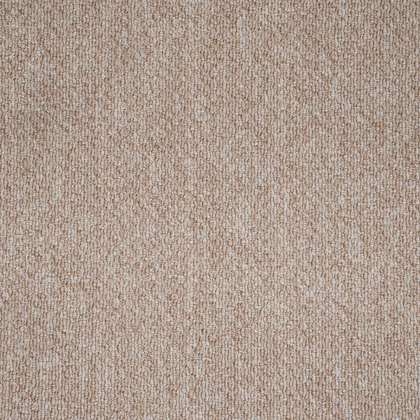 Star Loop Carpet | Buy Budget Loop Carpets Online | Online Carpets