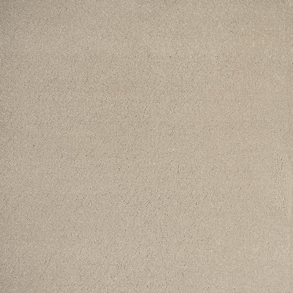 Pure Elegance Carpet | Abingdon Carpets | Online Carpets