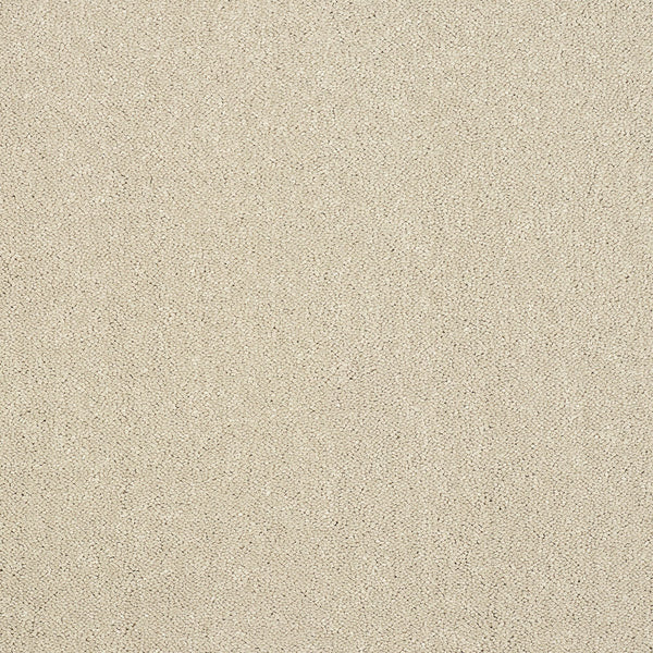 Turtle Dove 14 Pure Elegance Carpet | Online Carpets