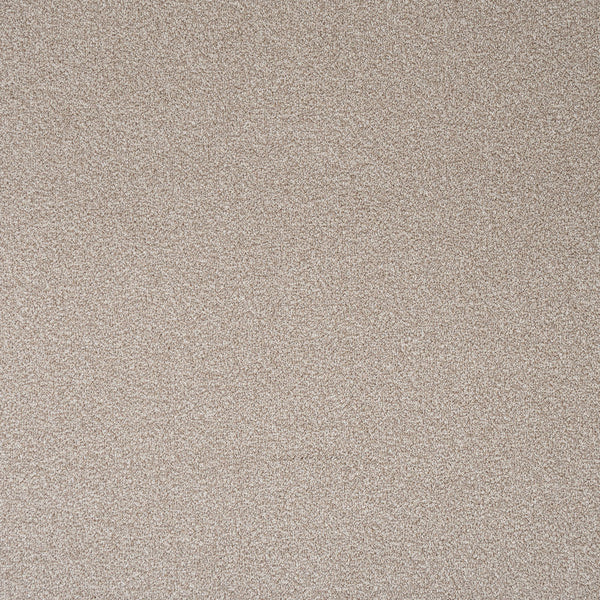 Stainfree Rustique Ultra Carpet | Abingdon Carpets | Online Carpets