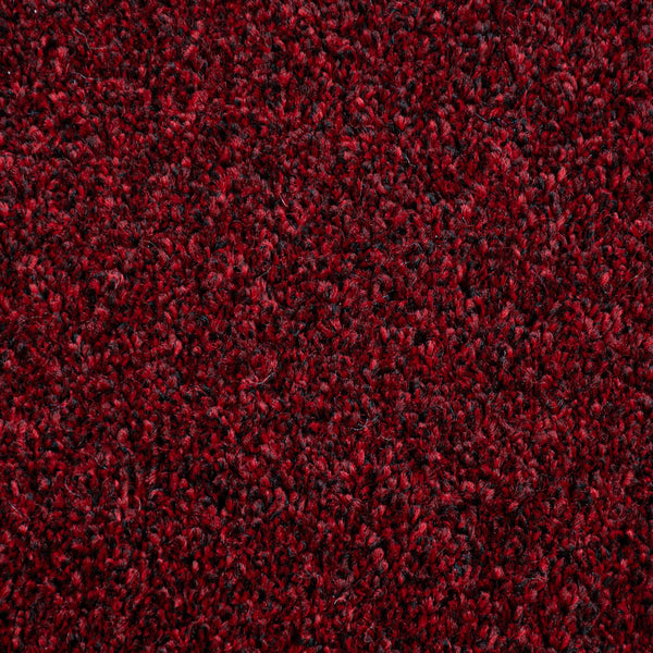 Wine Red Louisiana Saxony Carpet | Buy Louisiana Saxony Carpet Online ...
