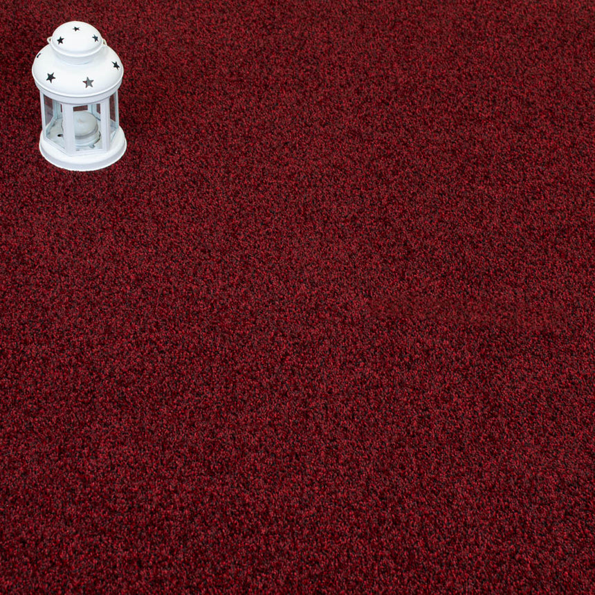 Wine Red Louisiana Saxony Carpet | Buy Louisiana Saxony Carpet Online ...