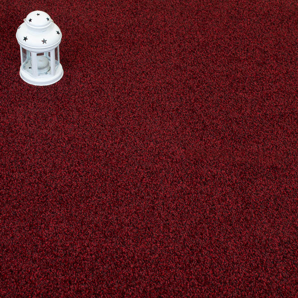 Wine Red Louisiana Saxony Carpet | Buy Louisiana Saxony Carpet Online ...