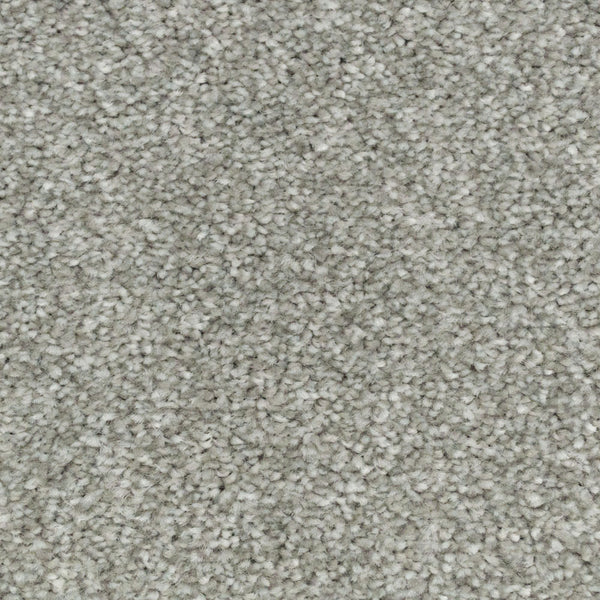 Stardust Stainfree Royale Carpet | Buy Stainfree Abingdon Carpet ...