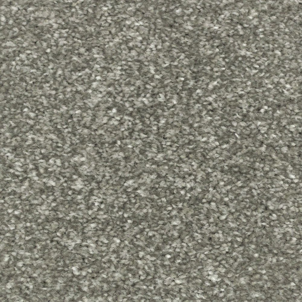 Shadow Stainfree Royale Carpet | Buy Stainfree Abingdon Carpet ...