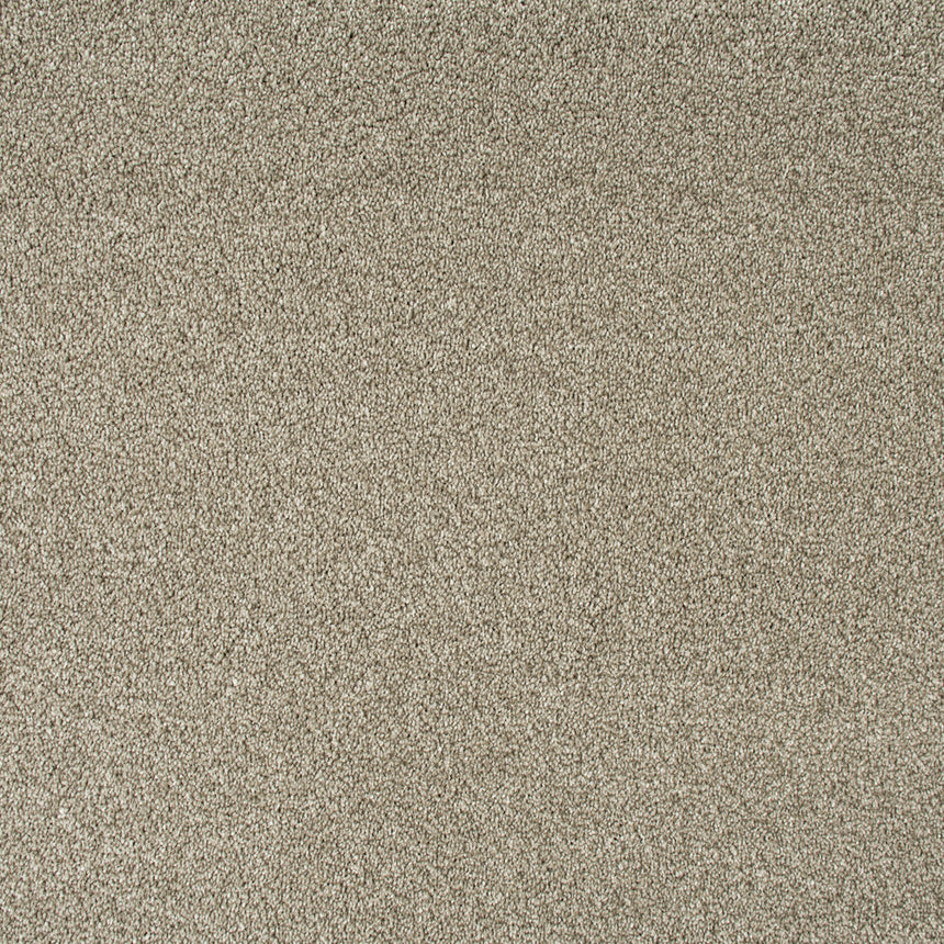 Alpine Stone Sensation Heathers 60oz Carpet | Buy Sensation Heathers ...