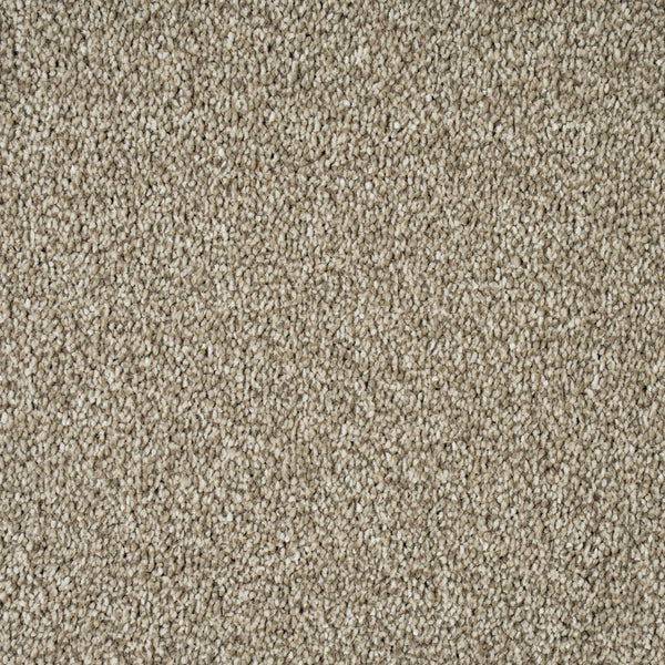 Alpine Stone Sensation Heathers 60oz Carpet | Buy Sensation Heathers ...