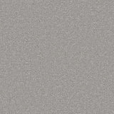 Apollo Plus Carpet | Buy Apollo Plus Carpets Online | Online Carpets