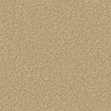 Apollo Plus Carpet | Buy Apollo Plus Carpets Online | Online Carpets