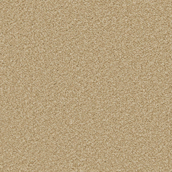 Caramel Apollo Plus Carpet | Buy Cormar Carpets | Online Carpets